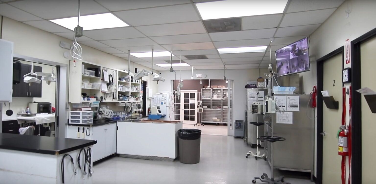 Emergency German Shepherd Veterinarian Orange County 24/7 Care