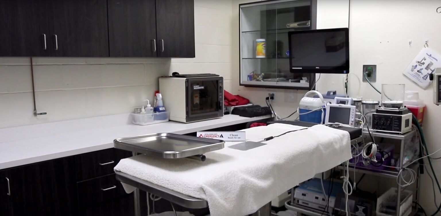 Emergency German Shepherd Veterinarian Orange County 24/7 Care