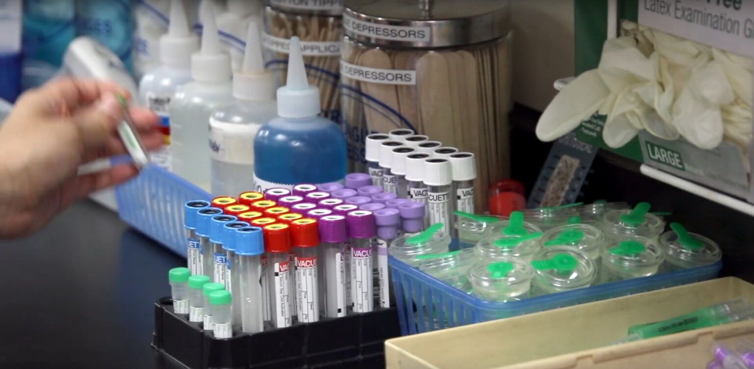 Emergency German Shepherd Veterinarian Orange County 24/7 Care